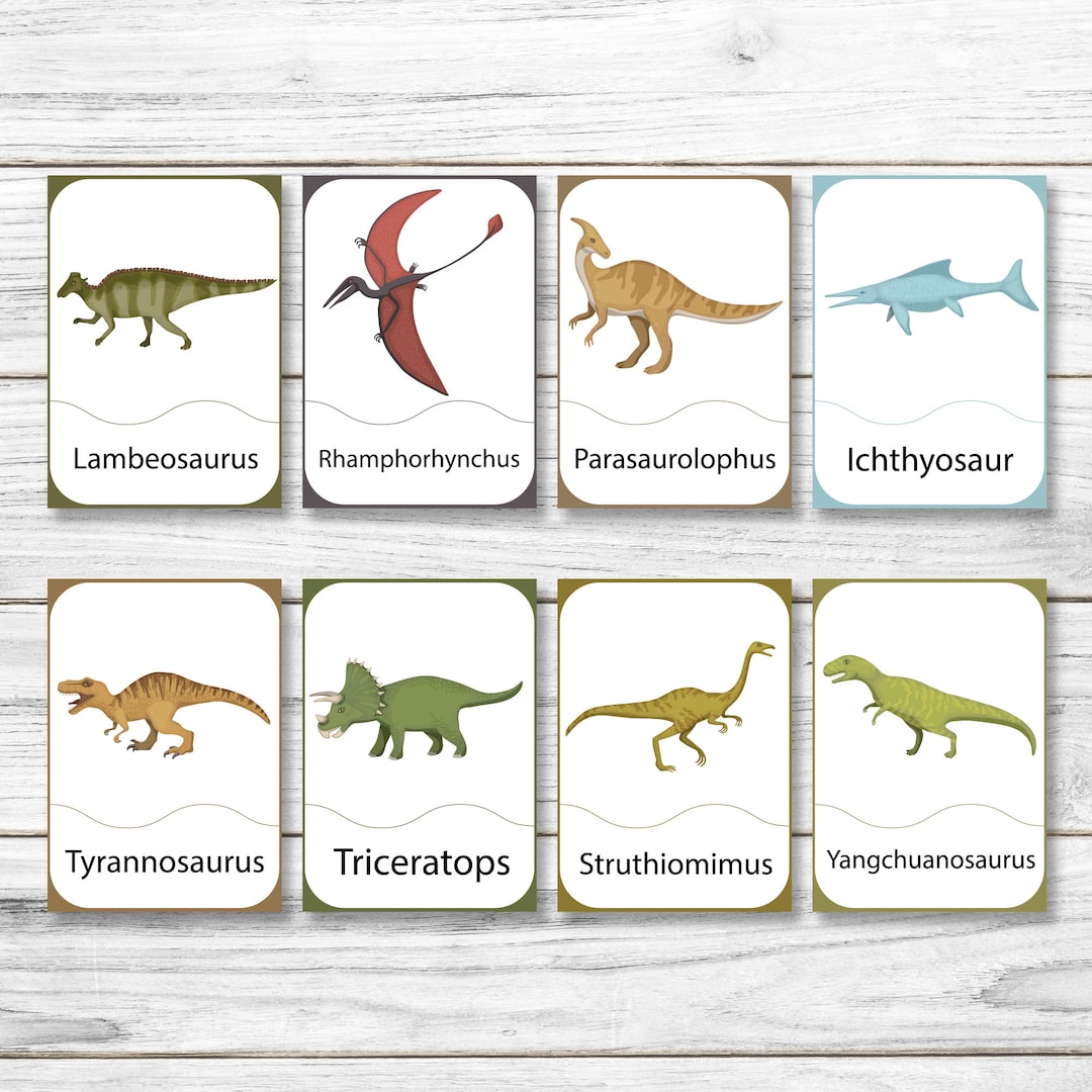 16 PDF Digital Printable Dinosaur Flash Cards, Printable Montessori ...