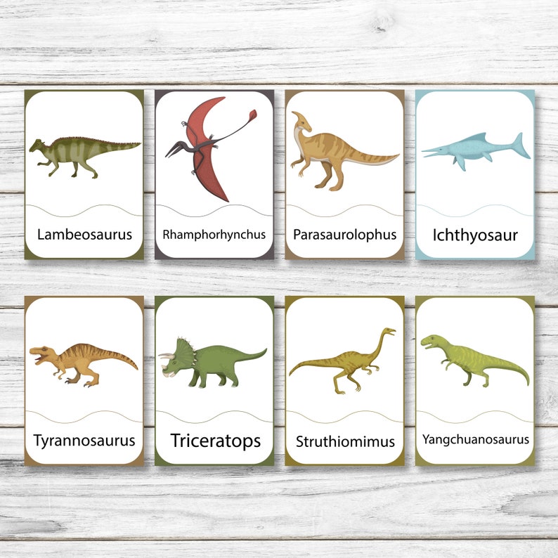 16 PDF Digital Printable Dinosaur Flash Cards, Printable Montessori ...