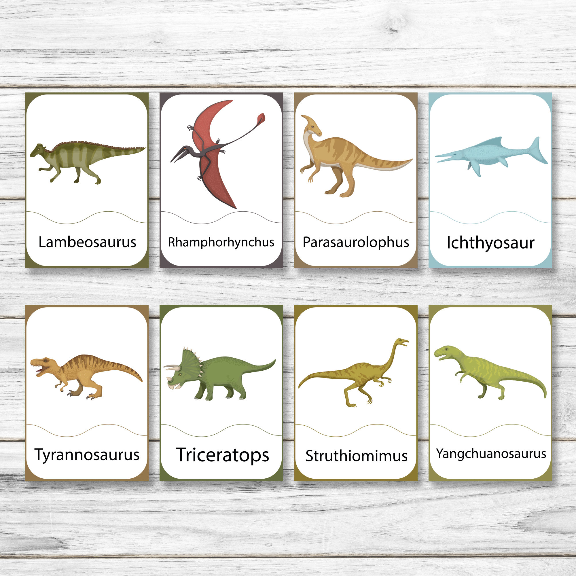 16 PDF Digital Printable Dinosaur Flash Cards, Printable Montessori ...