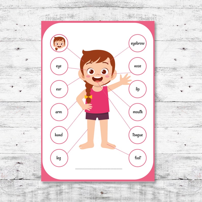 12 Body Parts Matching Game Printable A4 Flashcards, Body Parts ...