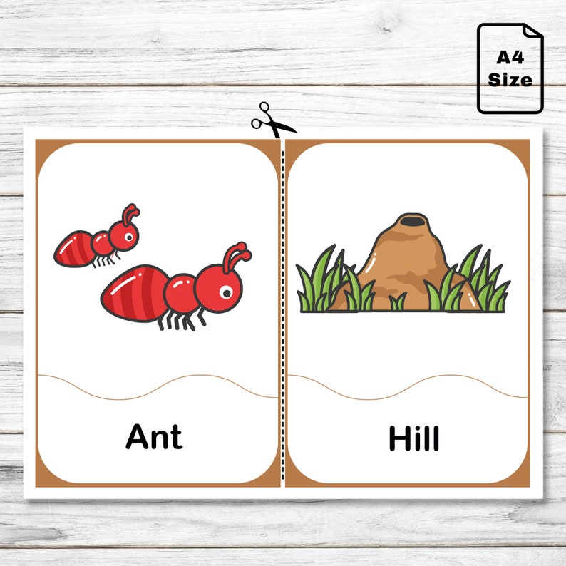 Animals and Their Homes Matching Cards - Printable Animals Flashcards ...