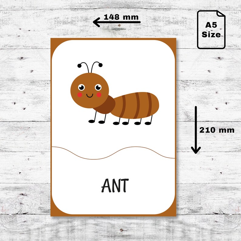 Printable Insects Flashcards, Preschool Toddler Flash Cards, Montessori ...