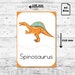 Dinosaur Flash Cards: Montessori Homeschool Printable (PDF Digital ...