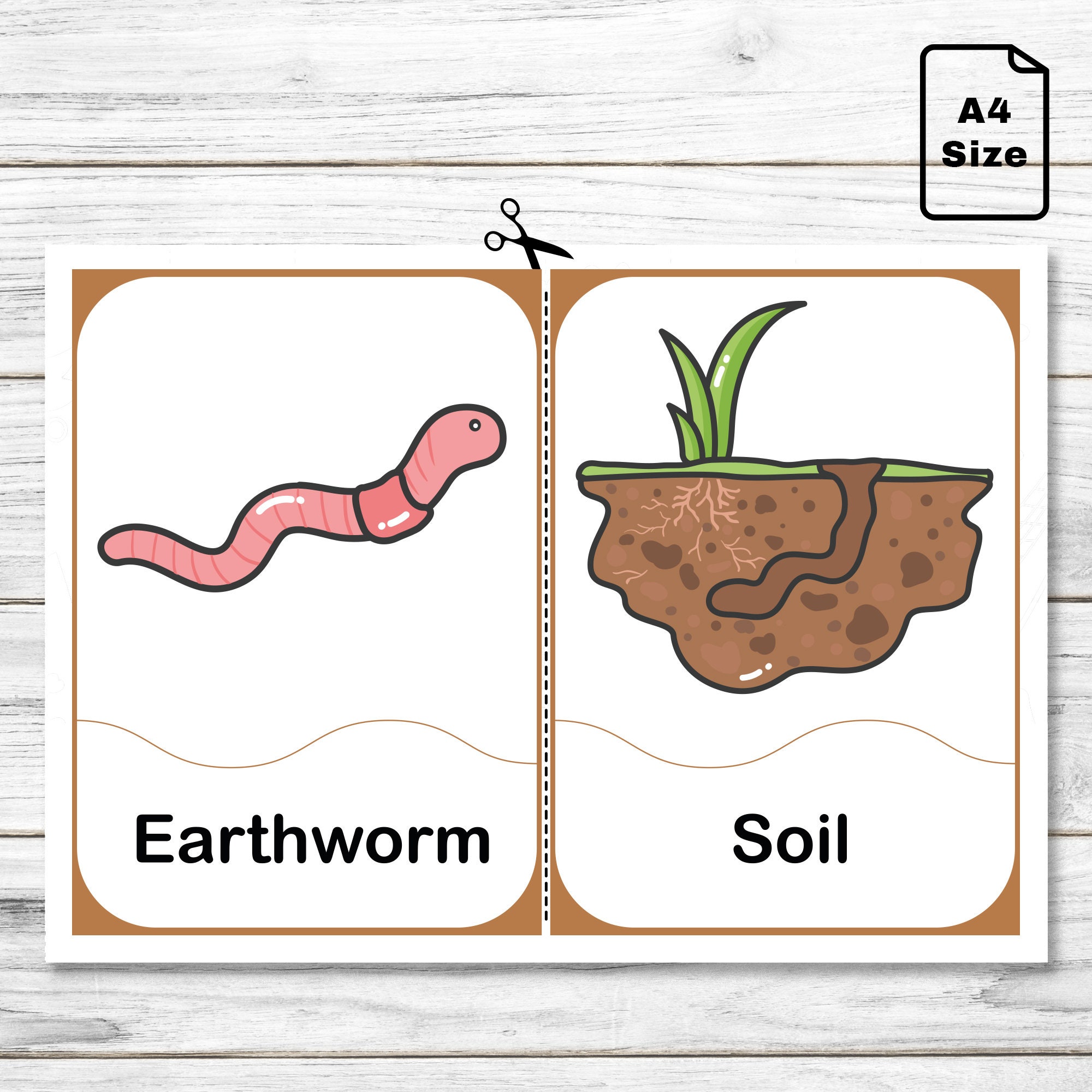 Animal Homes Matching Cards: Montessori Flashcards (PDF) - Etsy