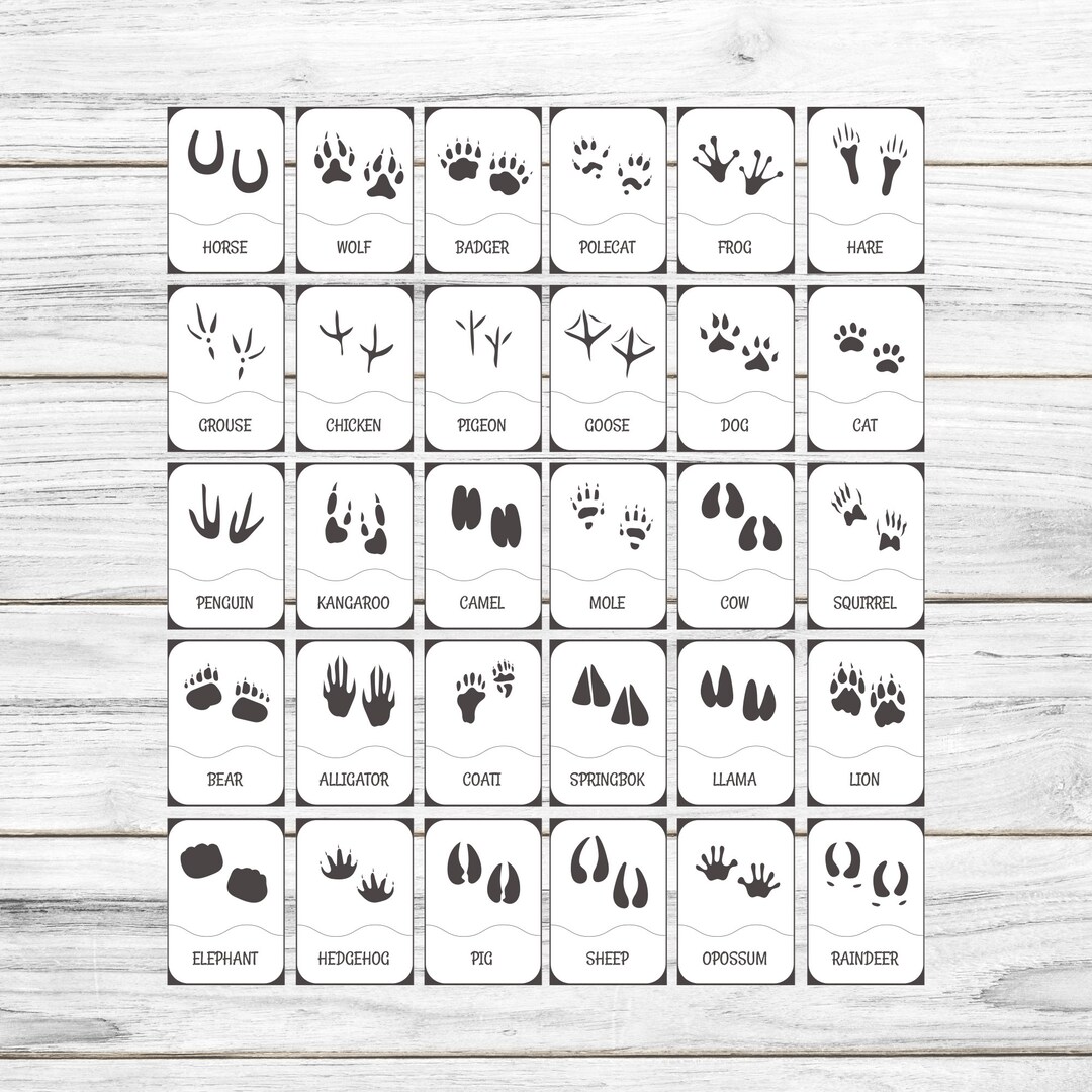 Printable Animal Footprints Flashcard - Printable Animals With ...