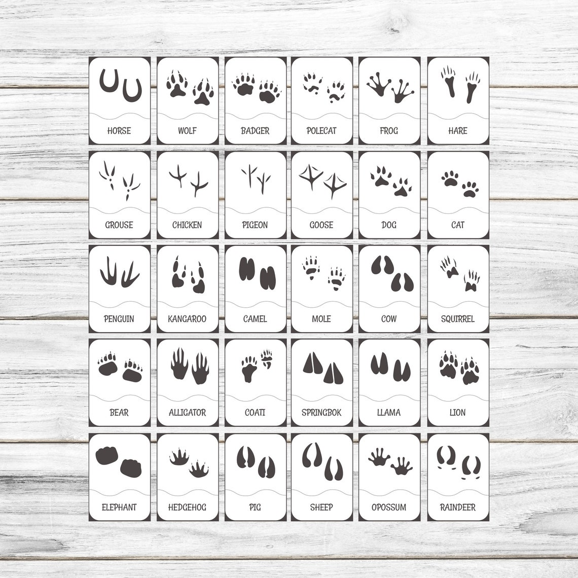 Printable Animal Footprints Flashcard - Printable Animals With ...