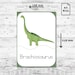 Dinosaur Flash Cards: Montessori Homeschool Printable (PDF Digital ...