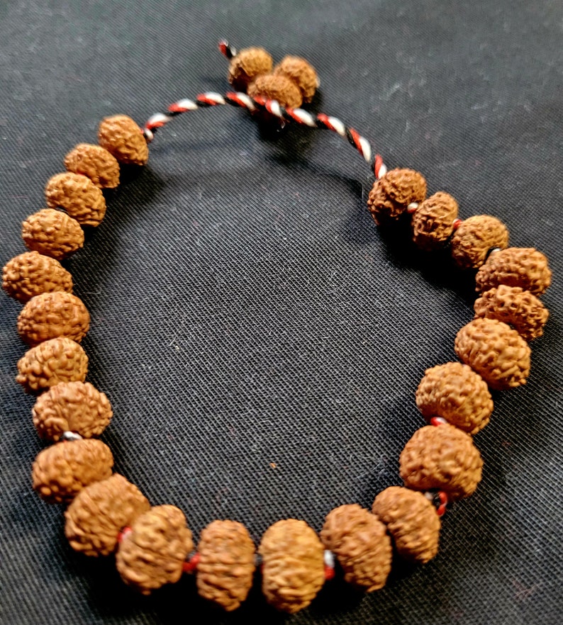 Bracelet of 24 Real Rudraksha Mukhi/faces 8 Cord 3 Colors - Etsy