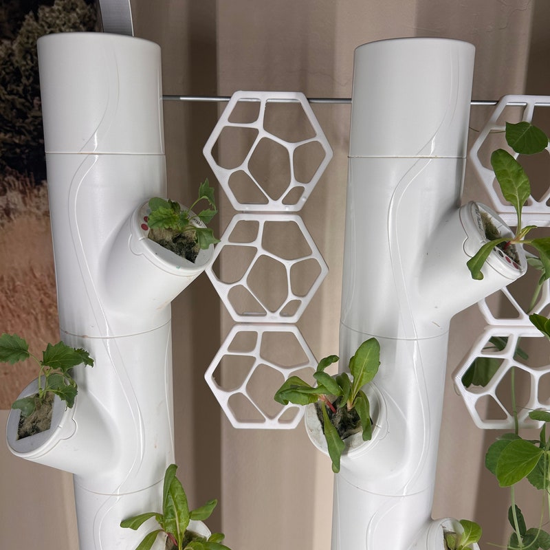 Hexagon Trellis - Etsy