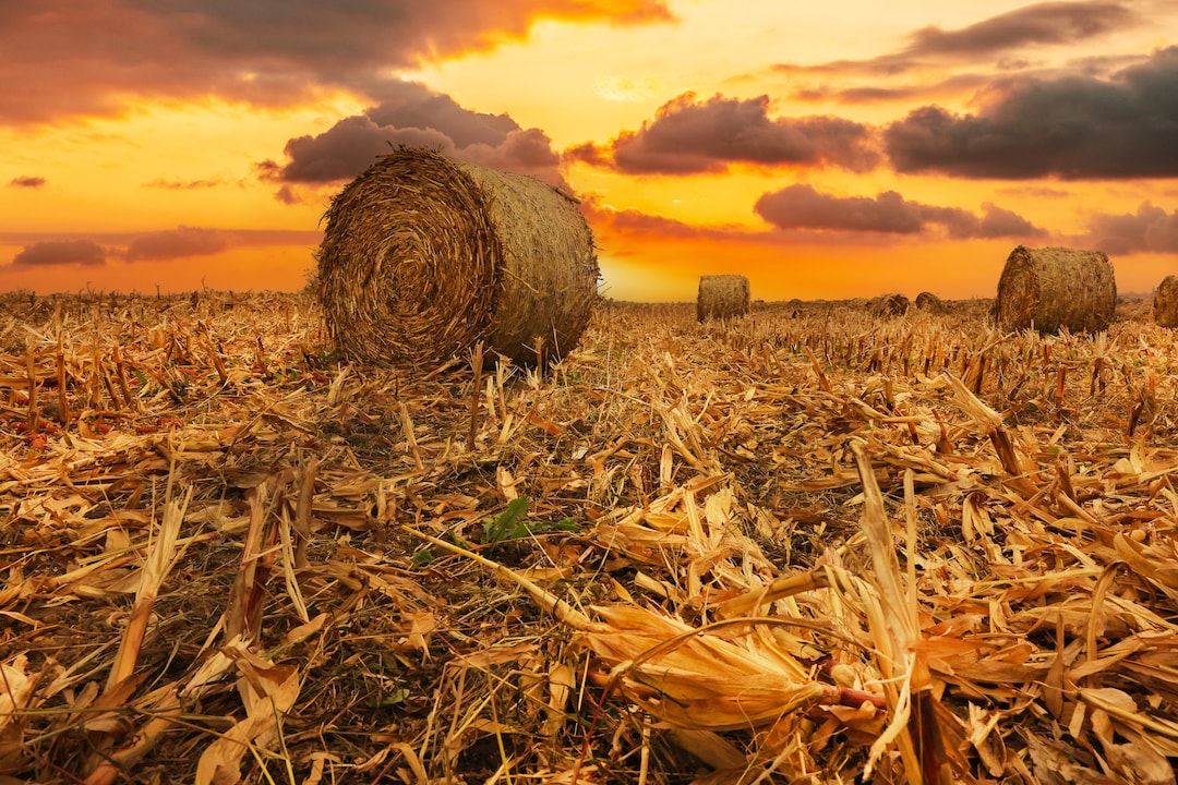 Rustic Country Sunset Photo - Farmhouse Decor, Rural Wall Art, Nature ...
