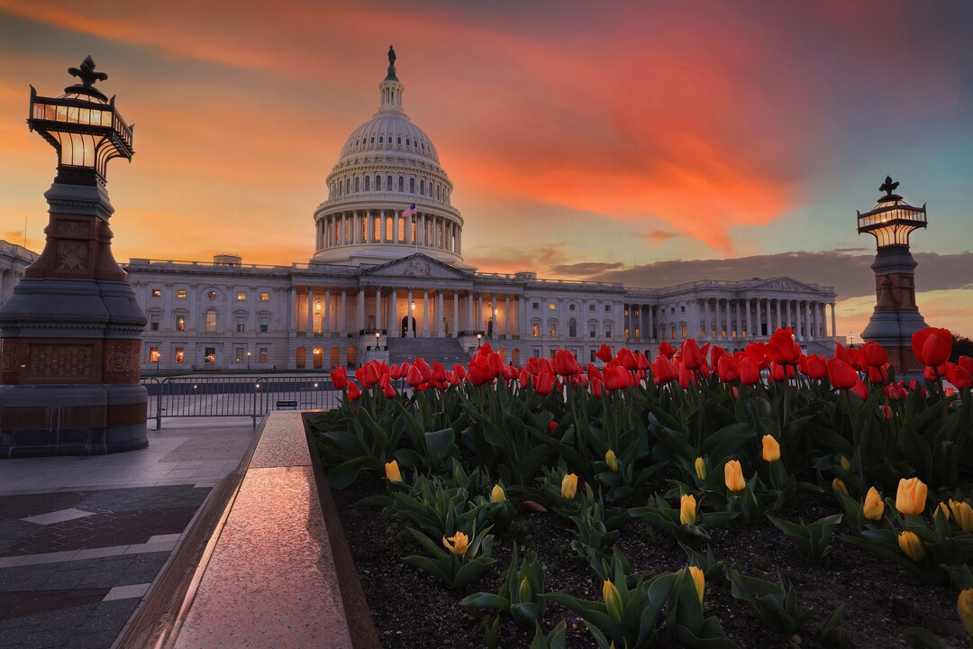 US Capitol Building Sunset Print: Washington DC Landmark - Etsy