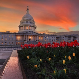 Washington DC US Capitol Building Print - United States Capitol ...