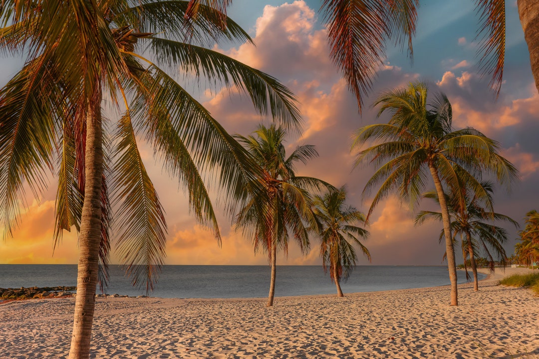 Florida Beach Sunrise Photo: Coastal Palm Tree Landscape Art - Etsy