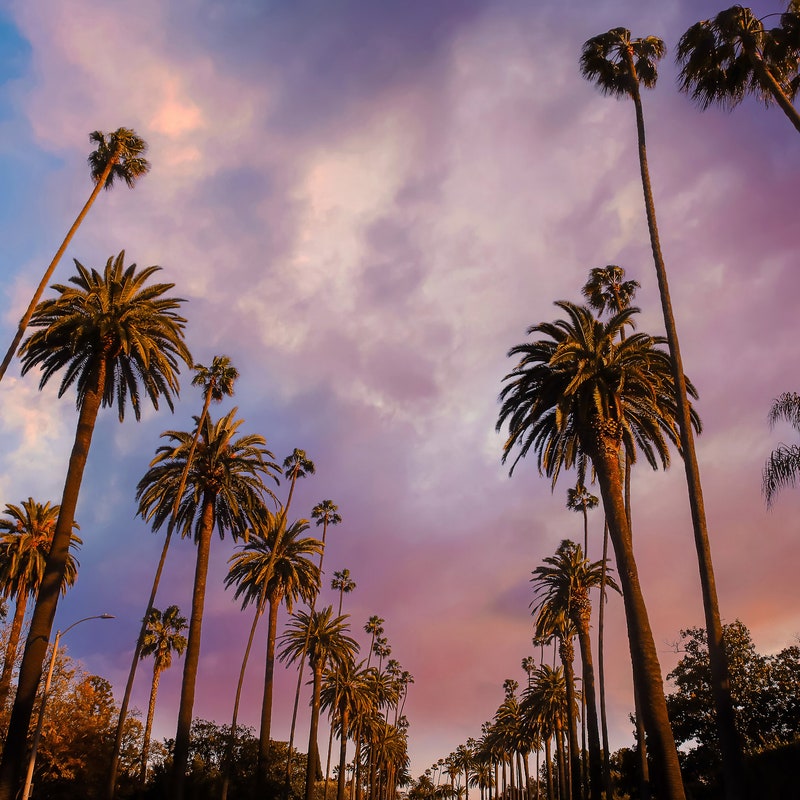 California Sunset - Etsy