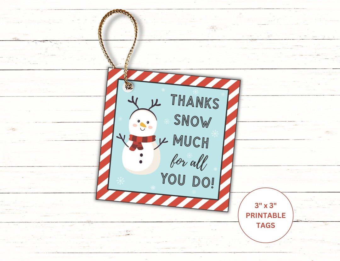 Thank You Snow Much Gift Tags | Winter Snowman Daycare Teacher Staff ...