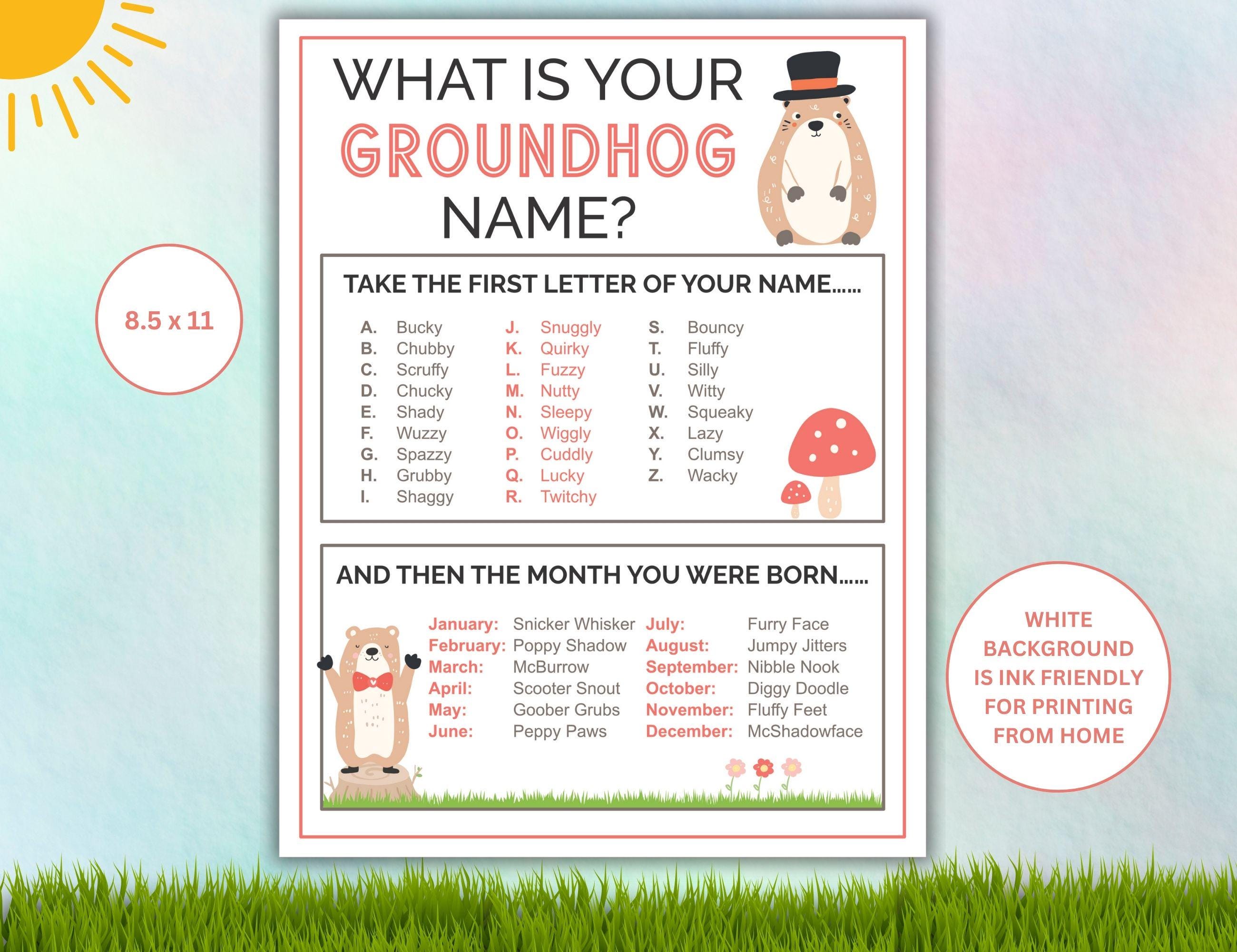 What is Your Groundhog Name Printable Game Groundhog Party Game ...