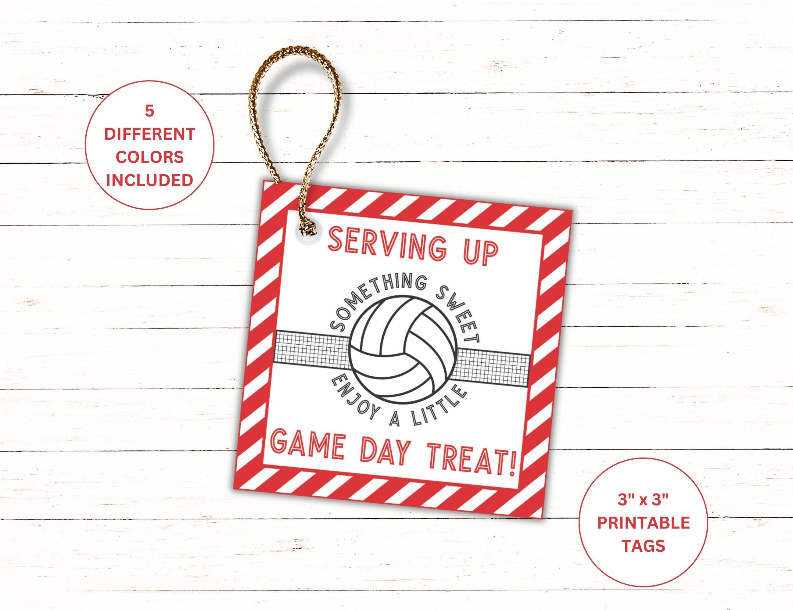 Volleyball Game Day Treat Tags | Volleyball Player Treat Bag Tags ...