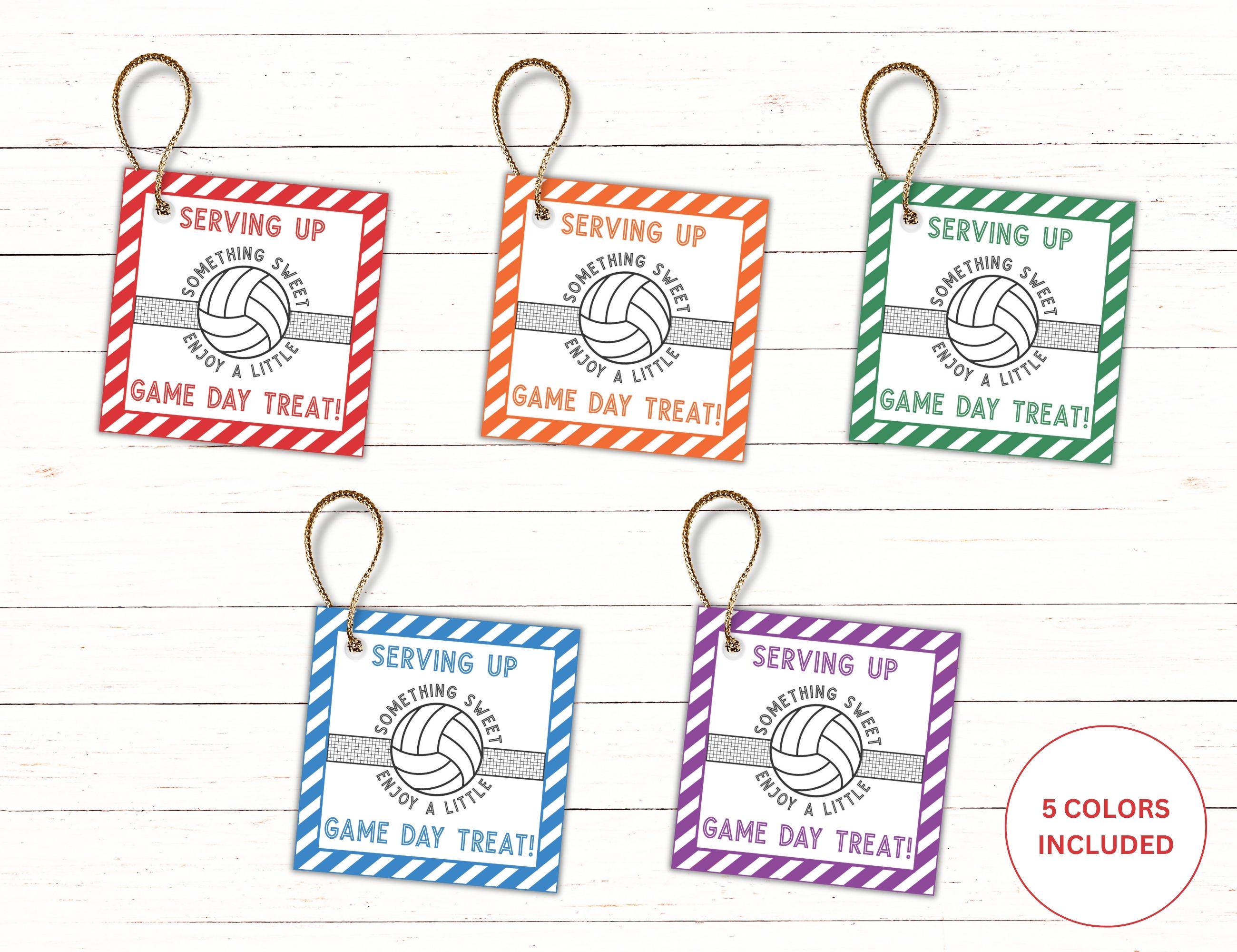 Volleyball Game Day Treat Tags | Volleyball Player Treat Bag Tags ...