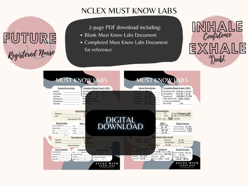 NCLEX Must Know Lab Values - Etsy