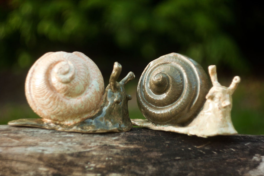 Handmade Ceramic Snail Planter: Succulent & Cactus Pot - Etsy