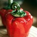 Ceramic Pepper Box. A Unique Decoration for a Stylish Home, Fake ...
