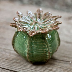 Poppy Seed Head Ceramic Box, Poppy Jar, Poppyseed Head, Ceramic Jar - Etsy