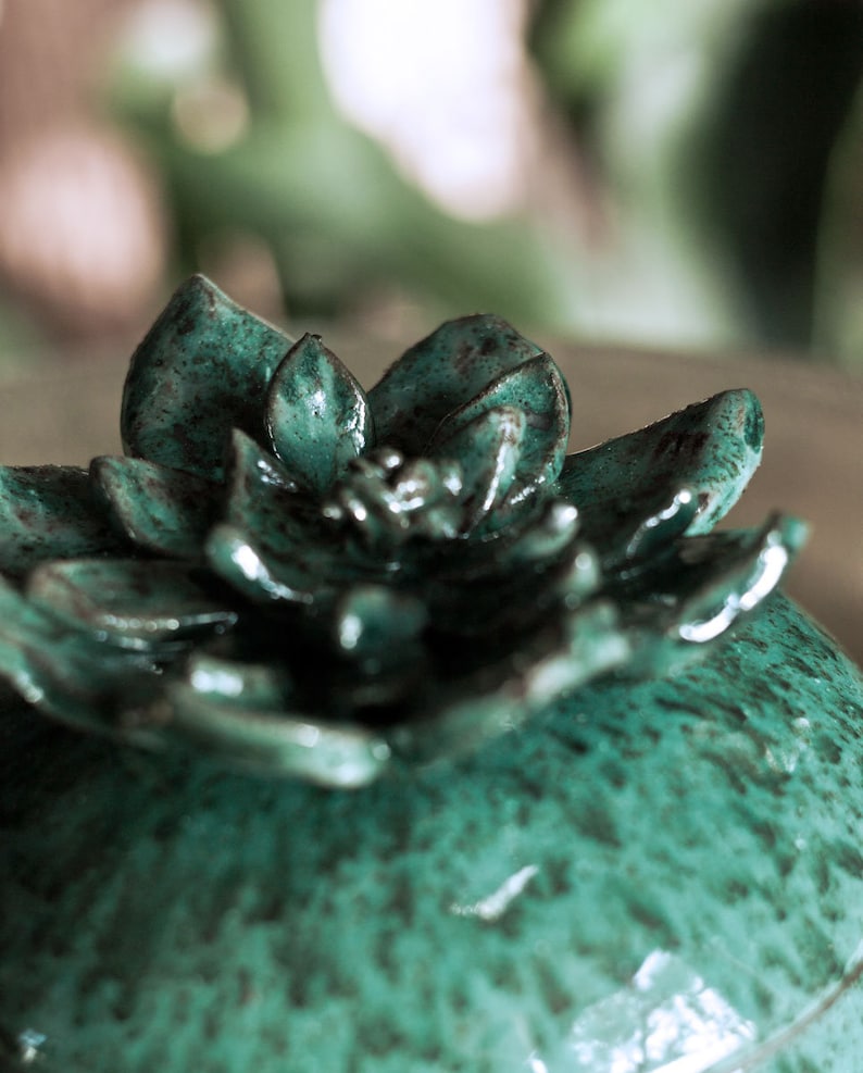 Houseleek Ceramic Box: Handmade Sempervivum Pot, Home Decor - Etsy