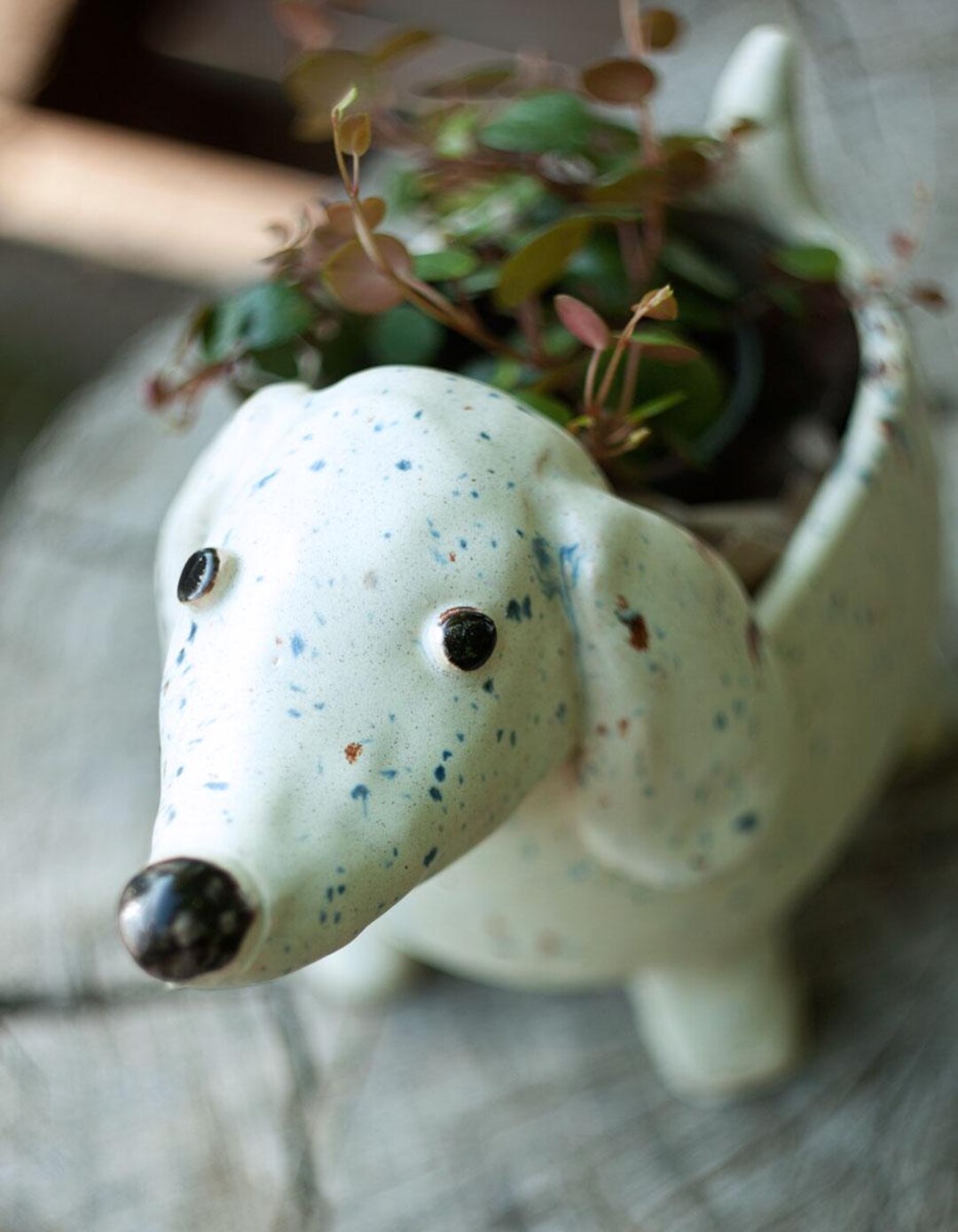Ceramic Plant Pot Dog, Puppy, Dachshund, Ceramic Continental, Box ...