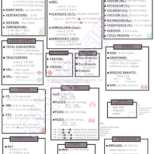 PDF INSTANT DOWNLOAD! Nursing Lab Values Cheat Sheet, Printable Lab ...