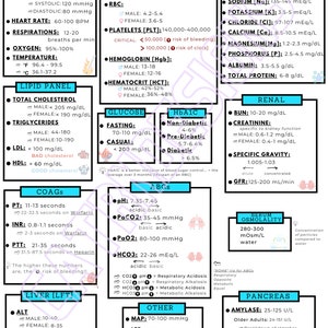 PDF INSTANT DOWNLOAD, Nursing Lab Values, Nursing Student, Neon ...
