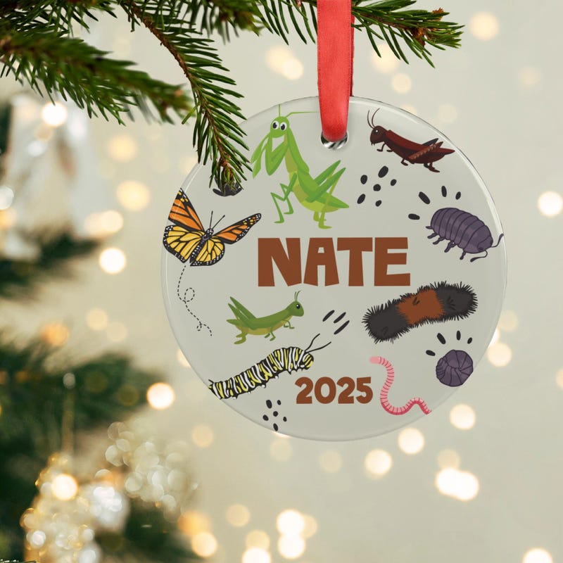 Bug Cookies Home Decor - Etsy