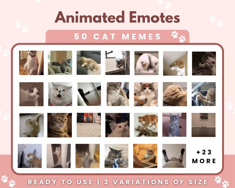 50 Animated Cat Memes Emote Bundle | Funny Cats | Kawaii Cats | Cat ...