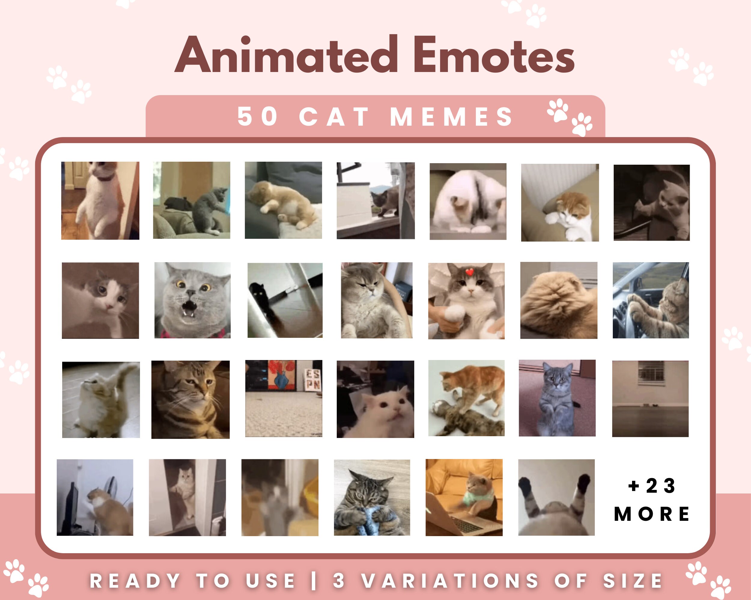 50 Animated Cat Memes Emote Bundle | Funny Cats | Kawaii Cats | Cat ...