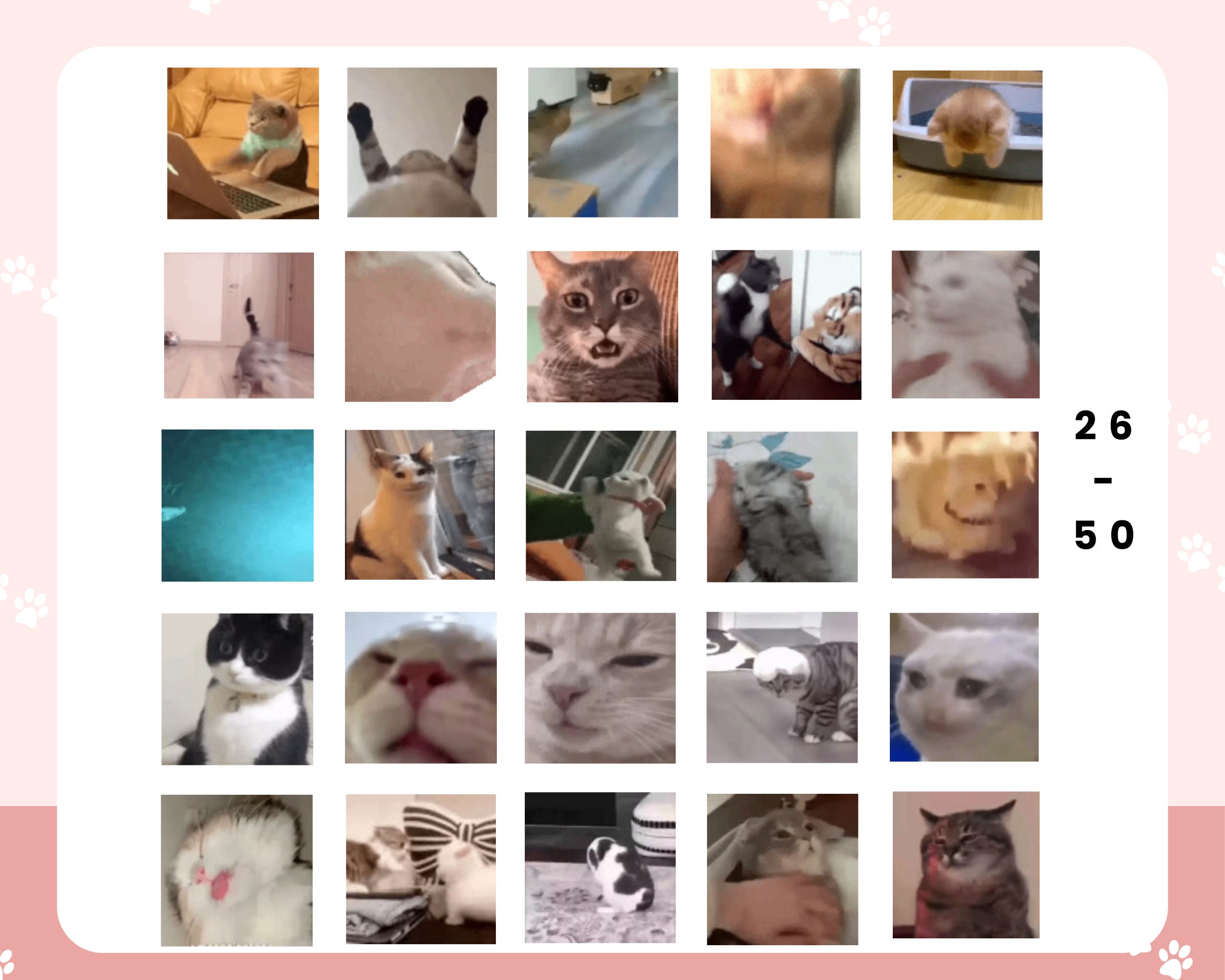 50 Animated Cat Memes Emote Bundle | Funny Cats | Kawaii Cats | Cat ...