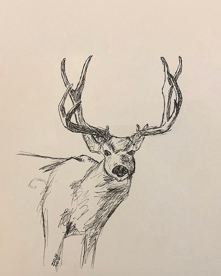Stag Drawing by Zeller | Original Printable Art Digital Download - Etsy