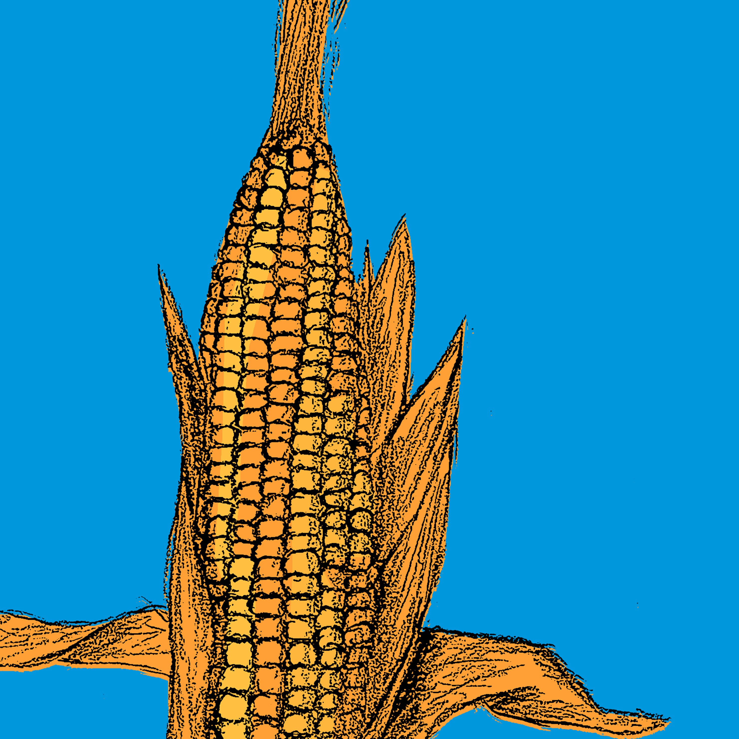 Corn Colors by Zeller Printable Art Original - Etsy