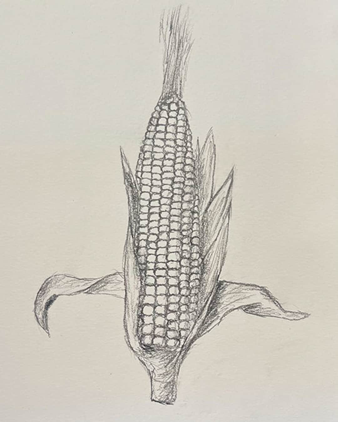 Corn Drawing by Zeller | Original Printable Art Digital Download - Etsy