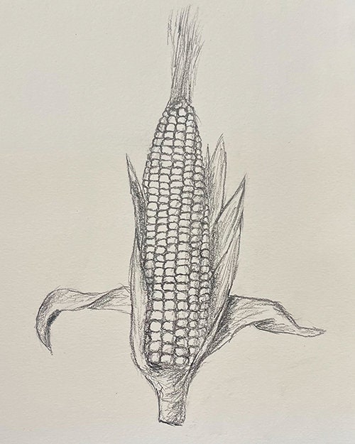Corn Drawing by Zeller | Original Printable Art Digital Download - Etsy