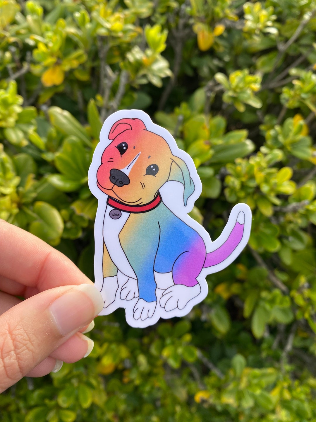 Pride Sticker, Gay Pride Sticker, LGBTQ Sticker, LGBTQIA Sticker, Pride ...