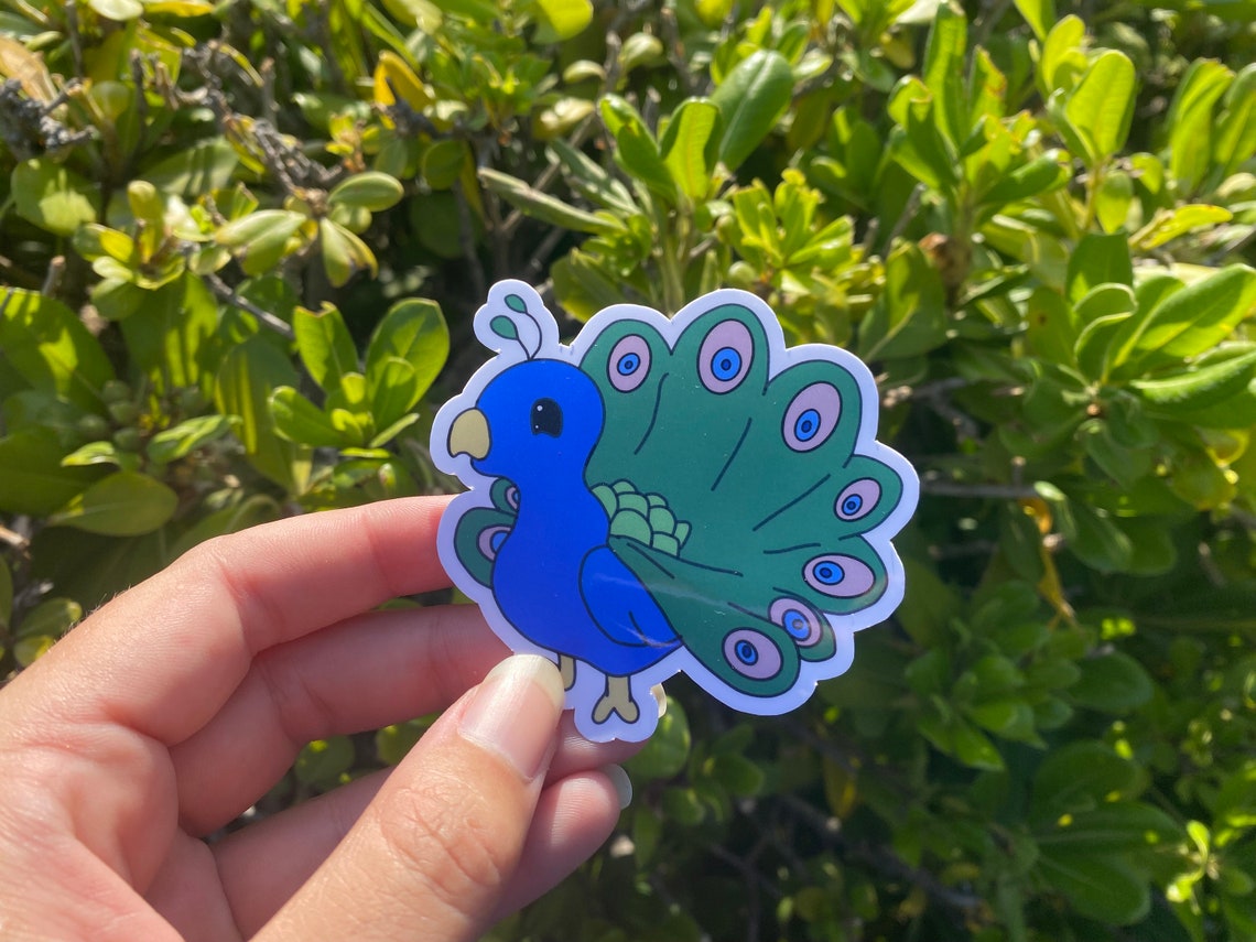 Bird Sticker Peacock Sticker Die Cut Vinyl Sticker Etsy