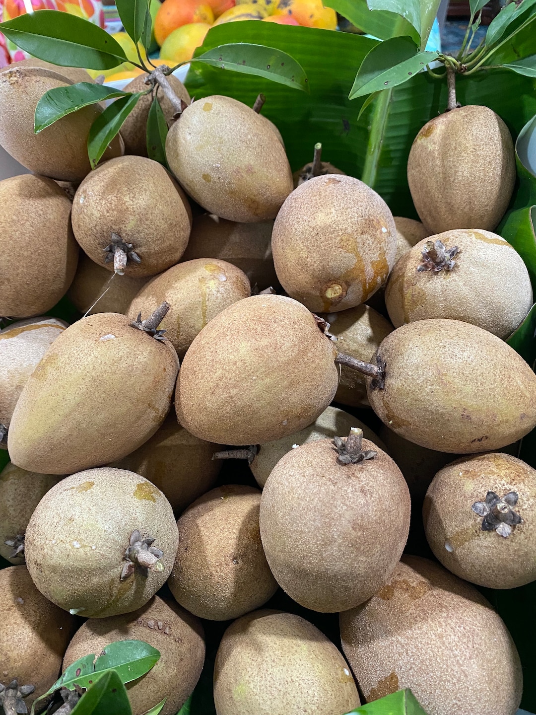 Pre Order : Sapodilla Fruit Mix ; (aka Nispero, Naseberry, Chico ...