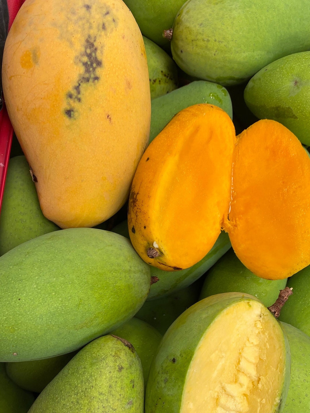 Lemon Zest, Premium Zill Mango. Fresh, & Picked to Order. - Etsy