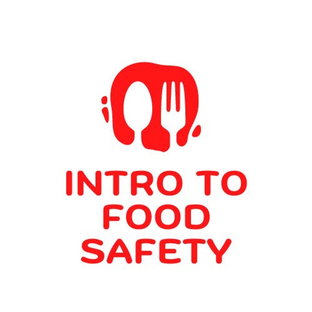 Introduction to Food Safety Discussion Worksheet With Questions - Etsy