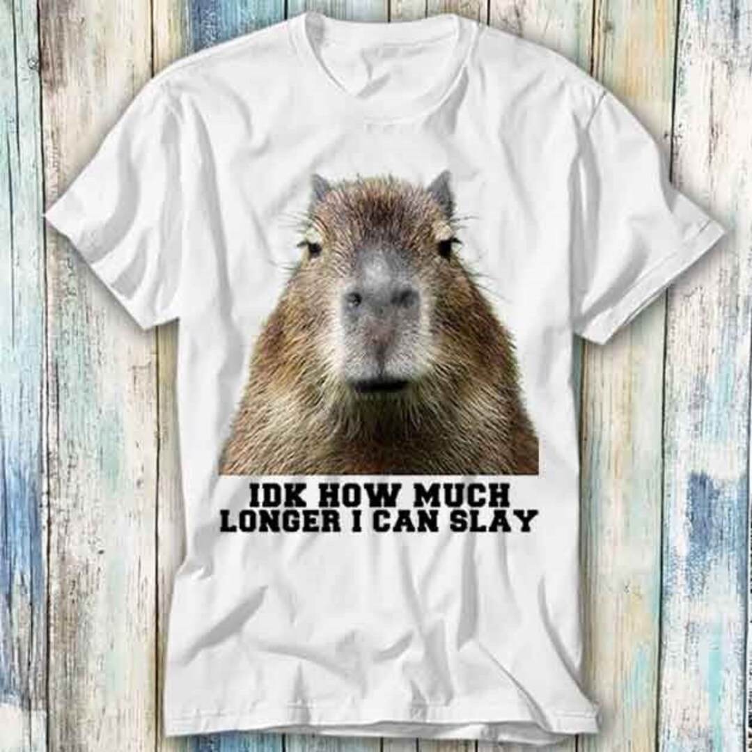 Idk How Much Longer I Can Slay Capybara Sarcastic Dank Meme T Shirt ...
