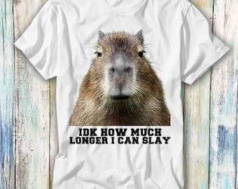 Idk How Much Longer I Can Slay Capybara Sarcastic Dank Meme T Shirt ...