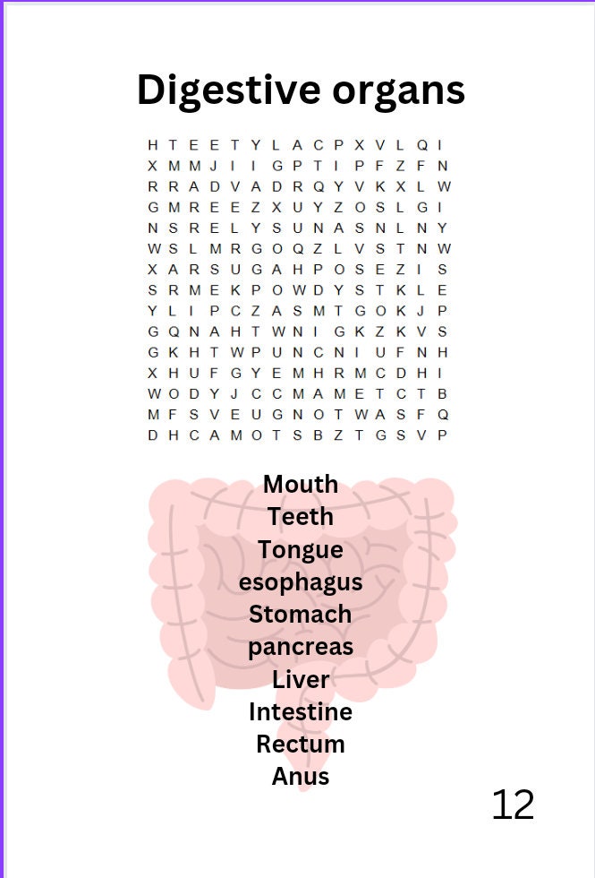 Sopa de letras: Partes de mi cuerpo Sistemas Órganos y - Etsy España