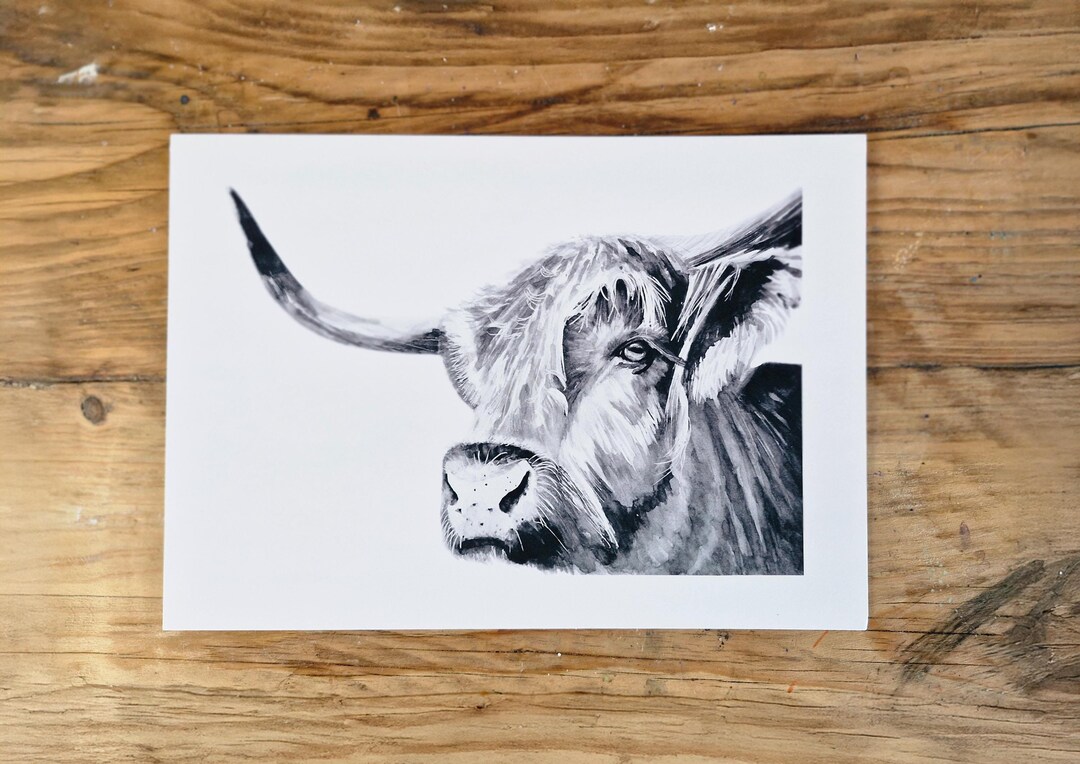 Highland Cow Watercolour | Cute Cow Face | Black and White Painting ...