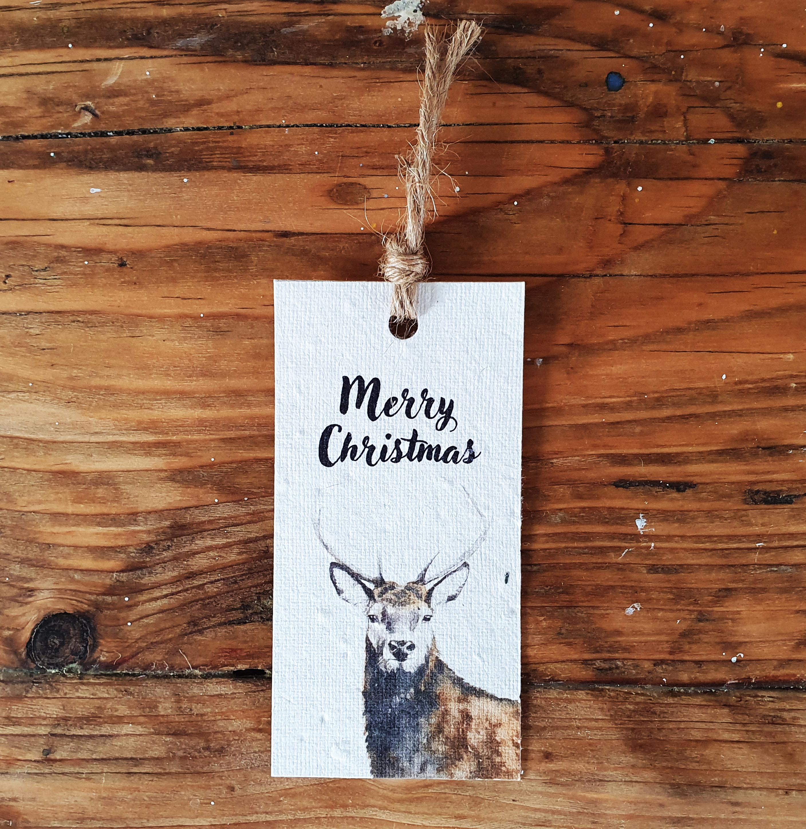 Gifts Tags | Puffin | 6 Pack | Seed Paper | Nature | Merry Christmas ...