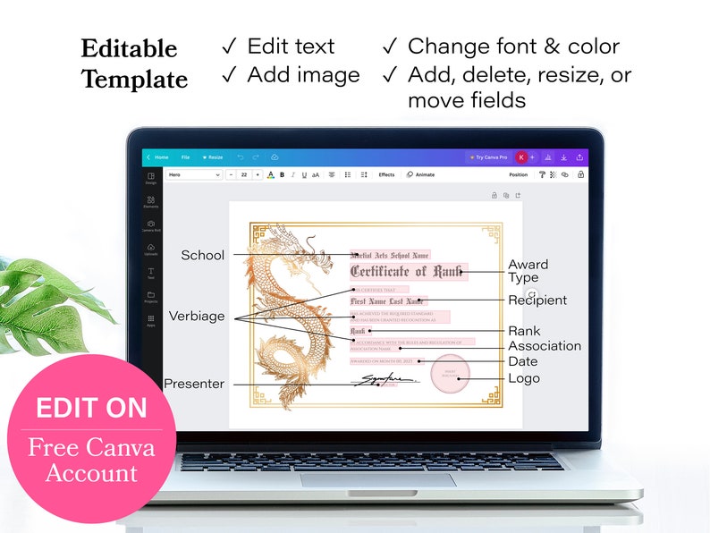 Editable Certificate of Rank Recognition | Faux Gold Dragon Martial ...
