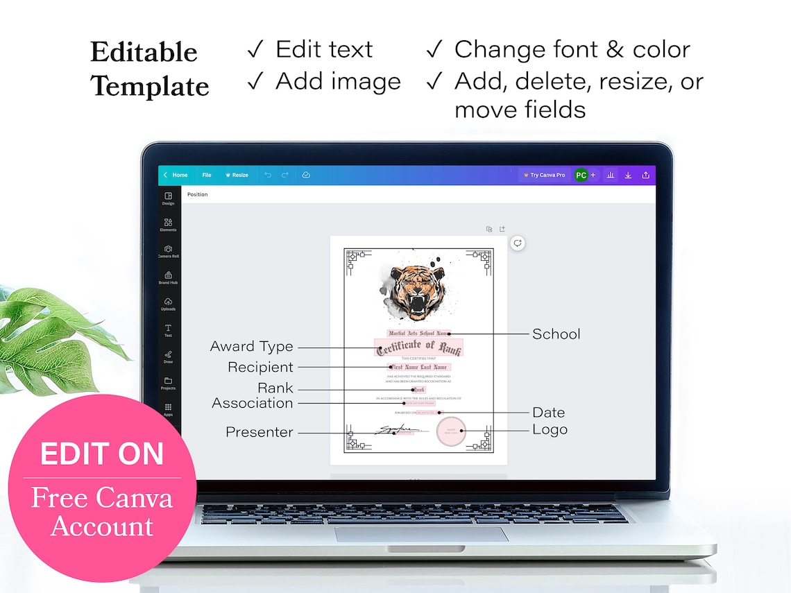 Editable Certificate of Rank Recognition | Tiger Martial Arts Award ...